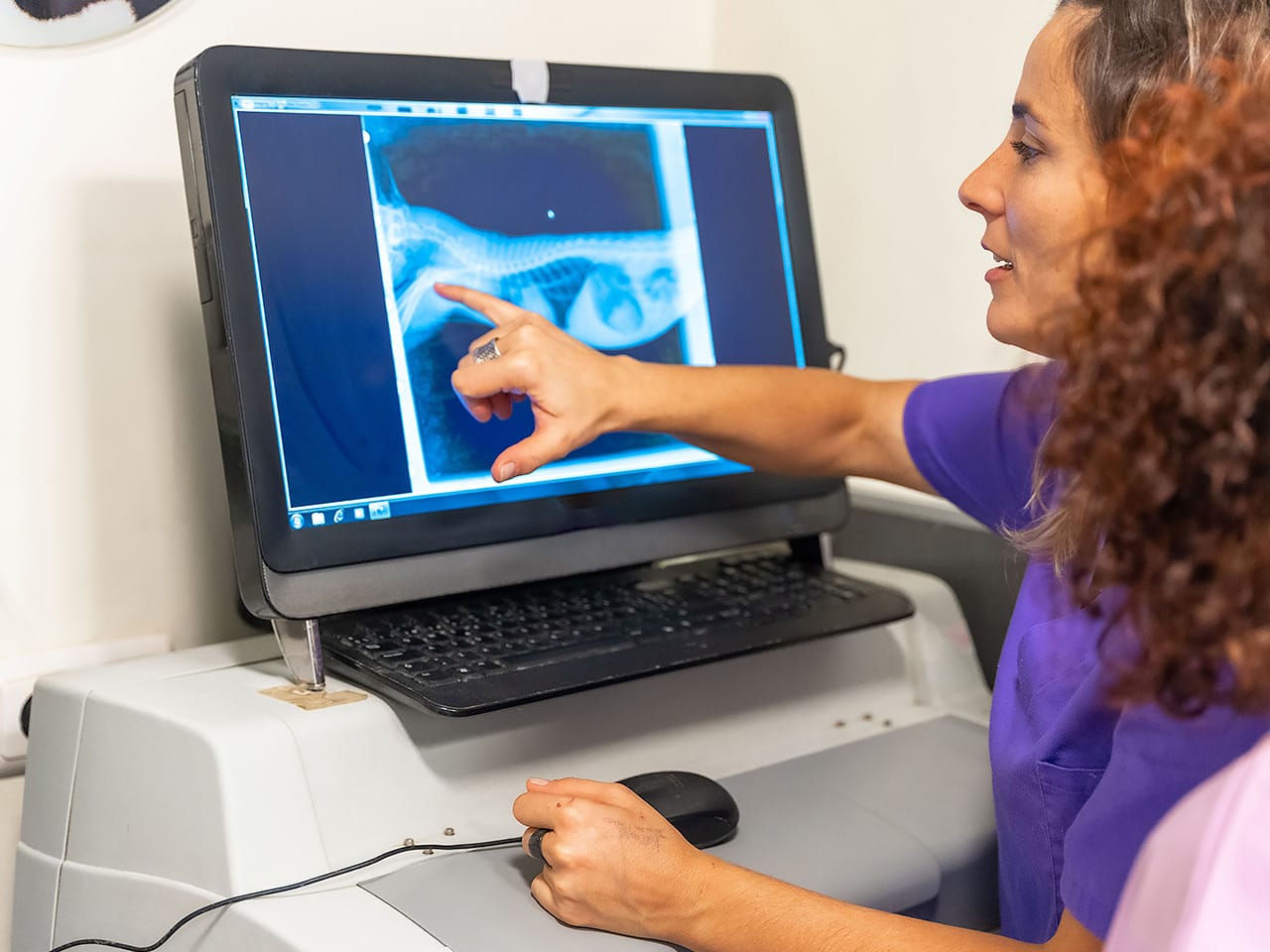 Precision Imaging with Cineradiological Digital X-ray System - Spine ...